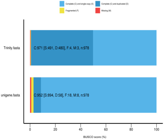 De Novo Transcriptomic Resources in the Brain of Vespa velutina for ...