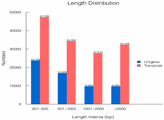 Comparative Transcriptomic Analysis of Riptortus pedestris (Hemiptera ...