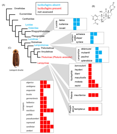 Insect Collections as an Untapped Source of Bioactive Compounds ...