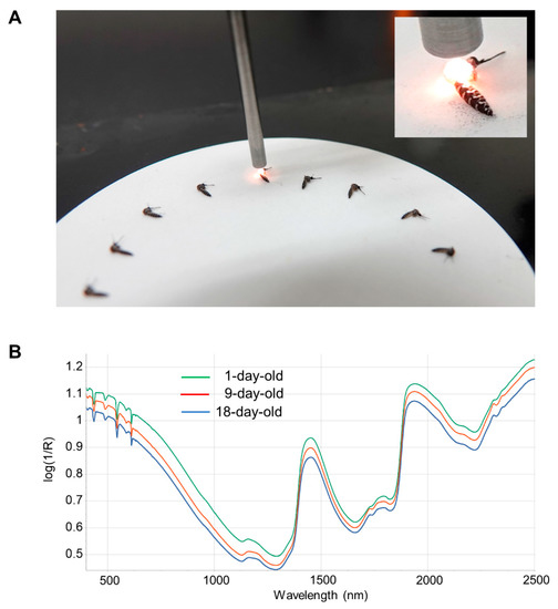 Assessing Near-Infrared Spectroscopy (NIRS) for Evaluation of Aedes ...