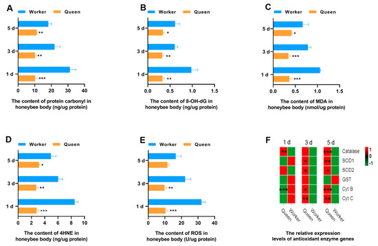 The Comparison of Antioxidant Performance, Immune Performance, IIS ...