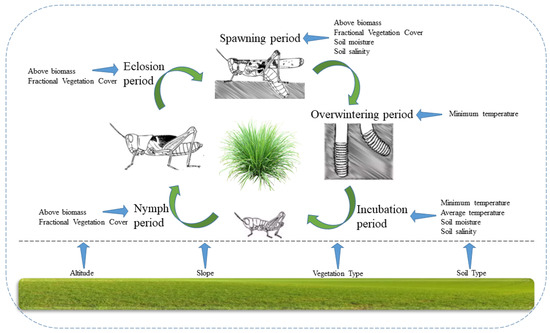 Detecting Key Factors of Grasshopper Occurrence in Typical Steppe and ...