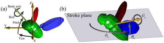 Model-Based Tracking of Fruit Flies in Free Flight