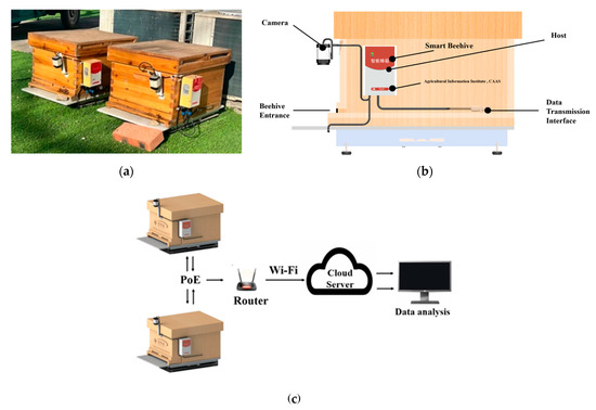 A Honey Bee In-and-Out Counting Method Based on Multiple Object ...