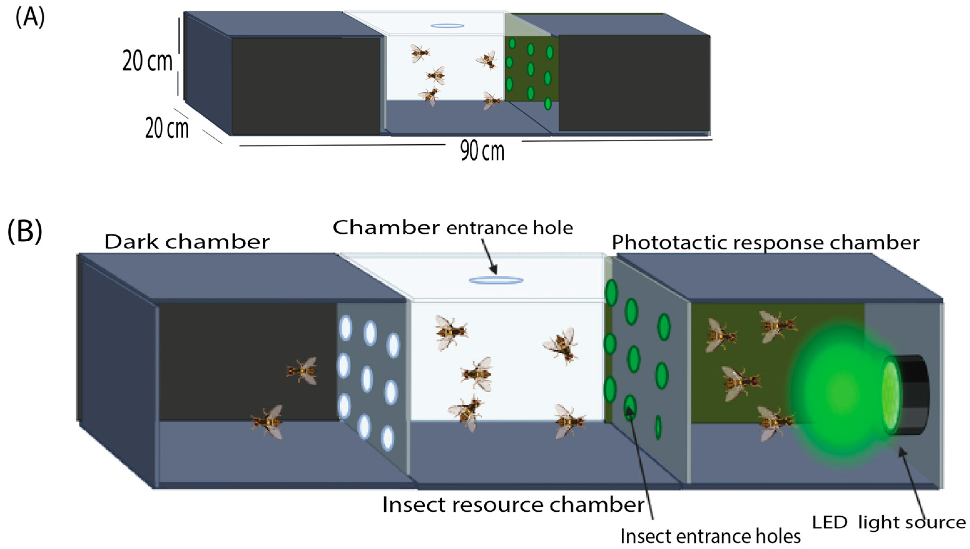Investigating the Disparity in Visual Stimuli-Induced Behavioral ...