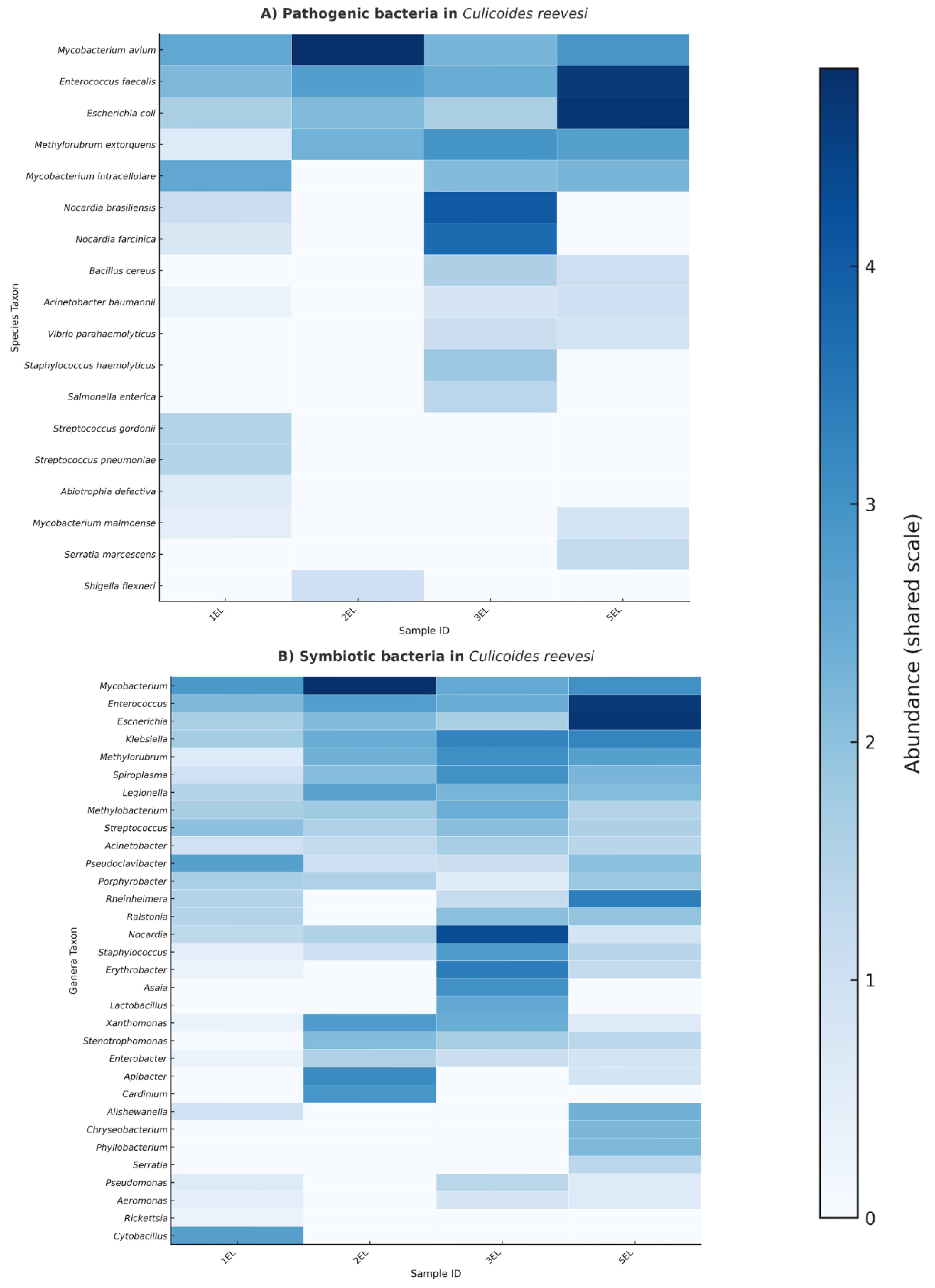Characterization of the Bacteriome of Culicoides reevesi from Chihuahua ...