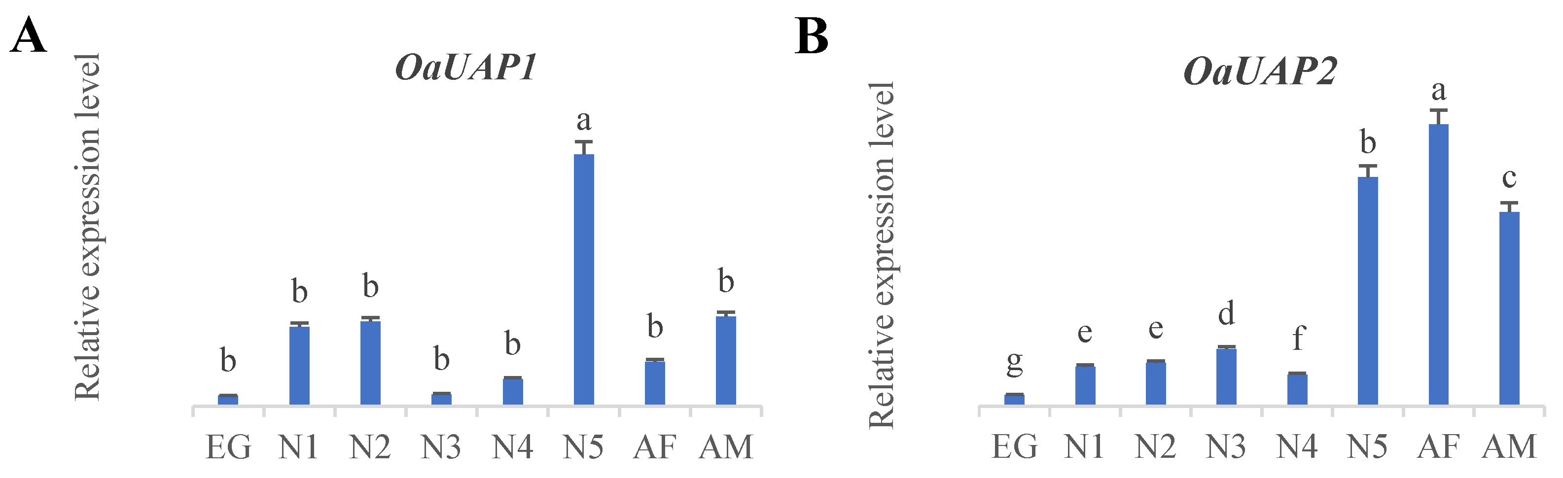 Distinct Roles of Two UDP-N-Acetylglucosamine Pyrophosphorylase Genes ...