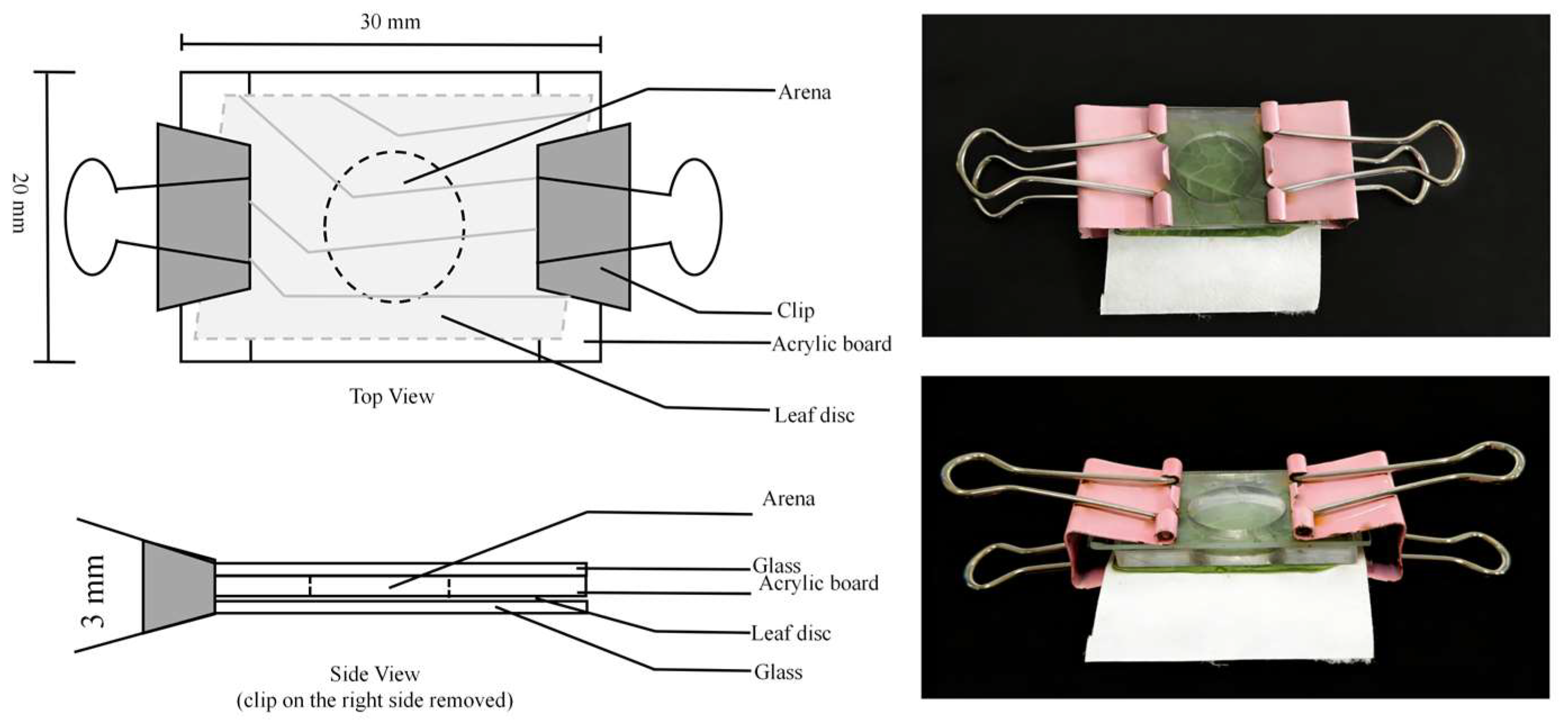 How Do Host Plants Mediate the Development and Reproduction of ...