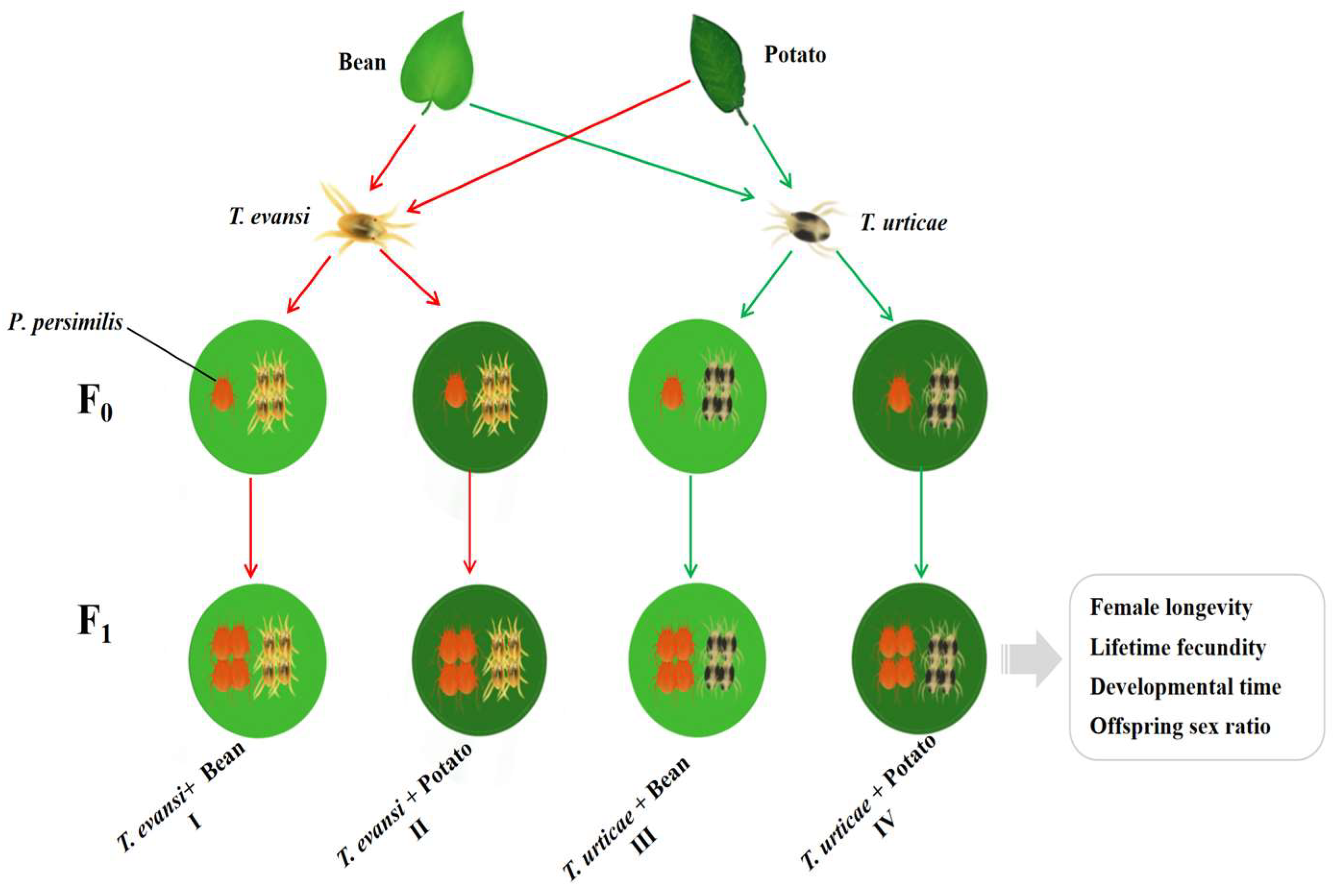 How Do Host Plants Mediate the Development and Reproduction of ...