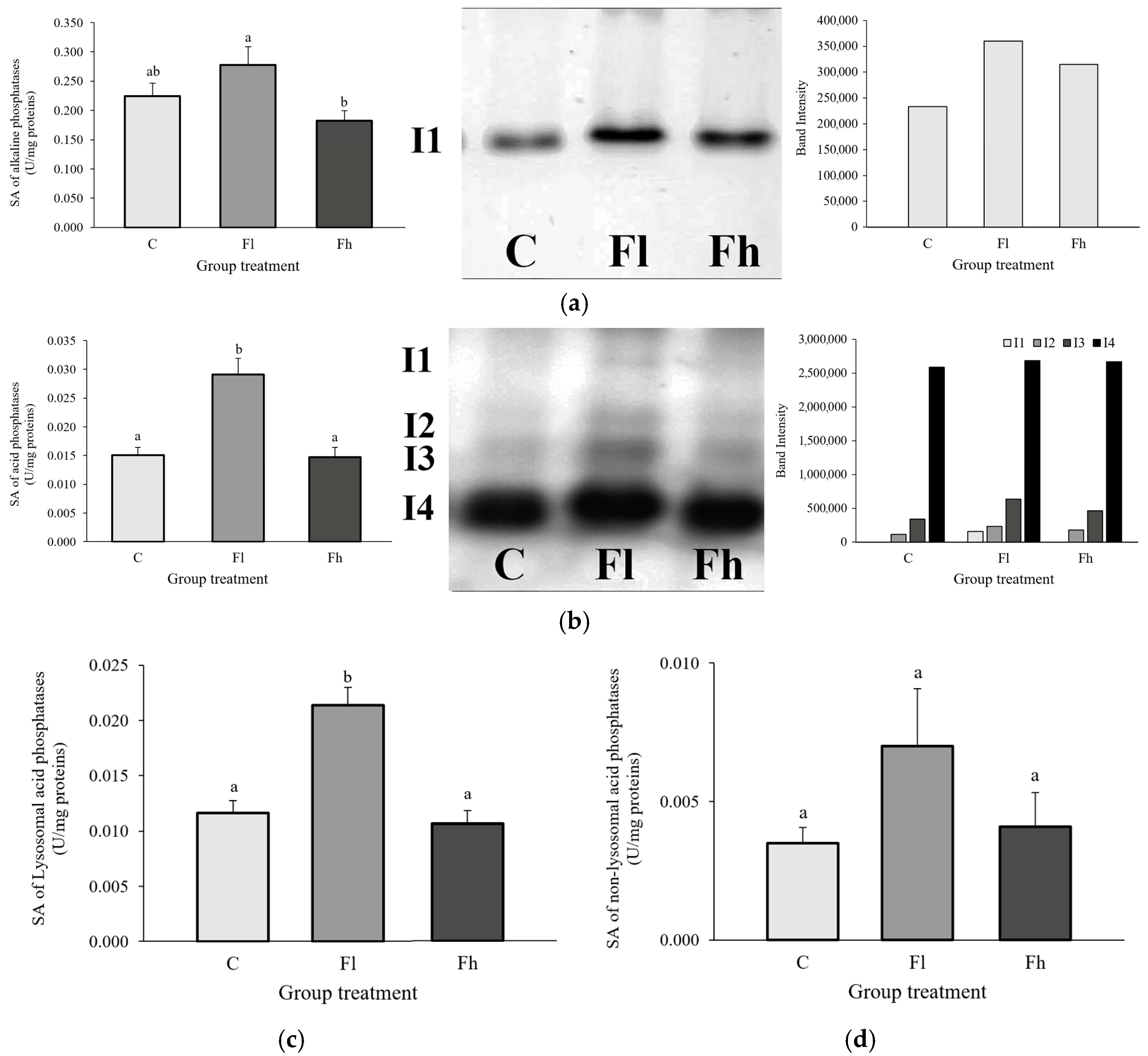 Differences in Midgut Phosphatases Activity and Hemolymph Composition ...