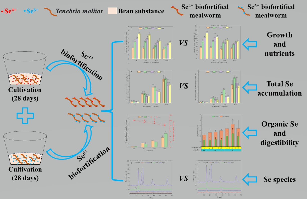 Effects of Selenite and Selenate on the Growth, Nutrient Composition ...