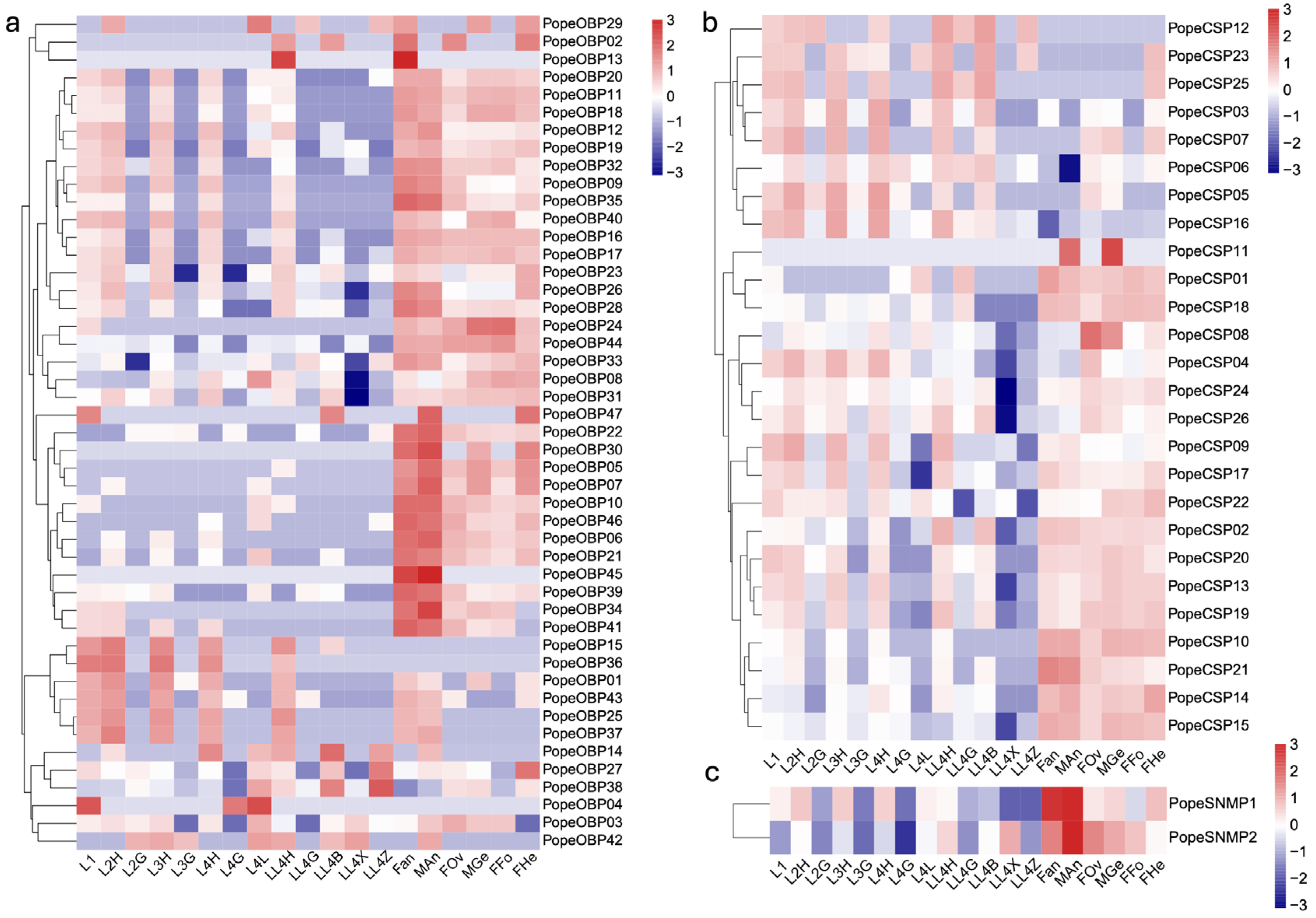 Genome-Wide Identification and Comparative Characterization of ...