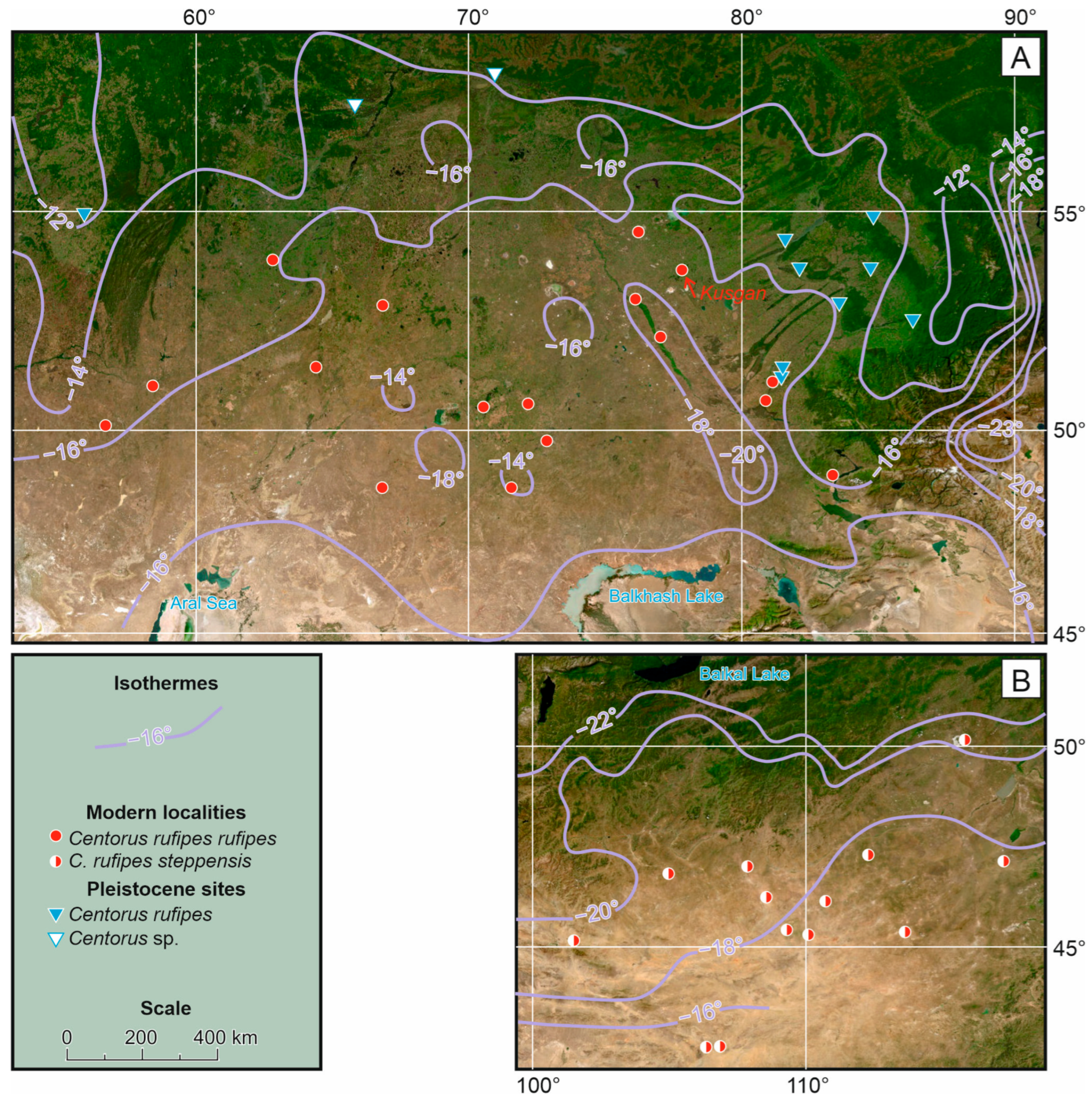 Did Cold Resistance Influence the Success of the Halobiont Darkling ...