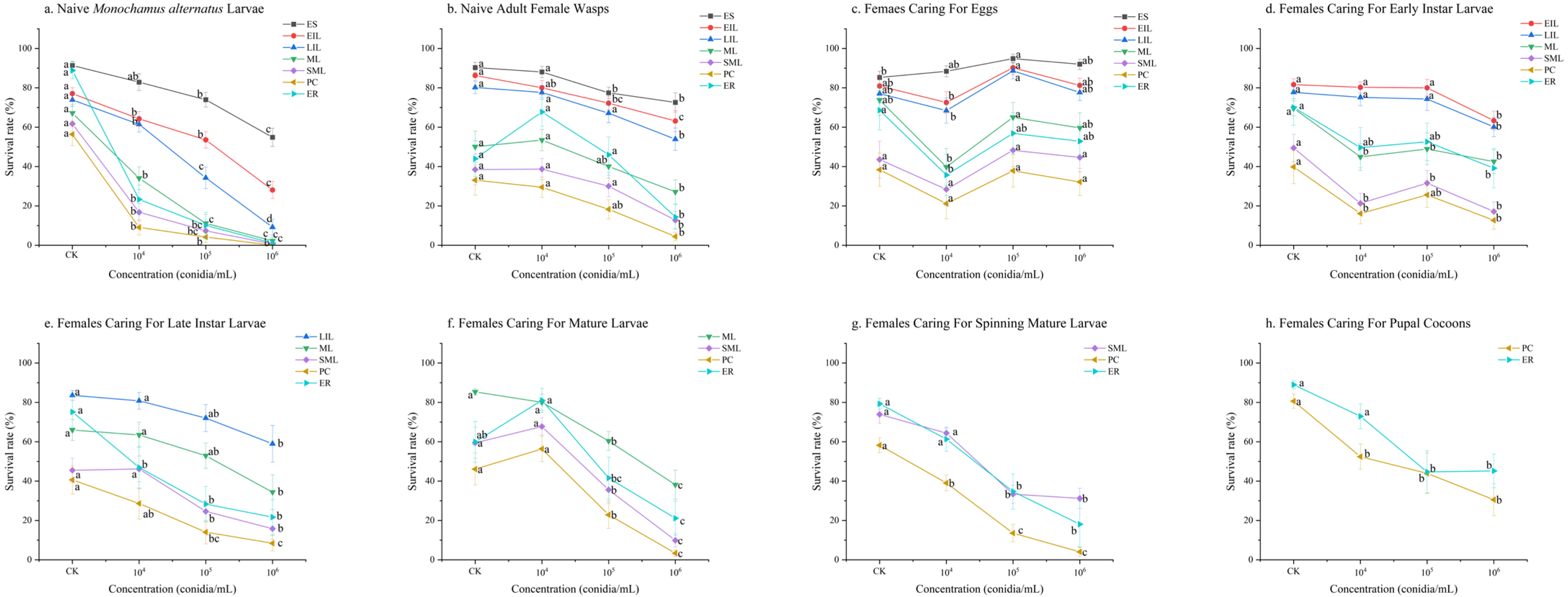 Effects of the Stress of Beauveria bassiana on the Reproductive Success ...