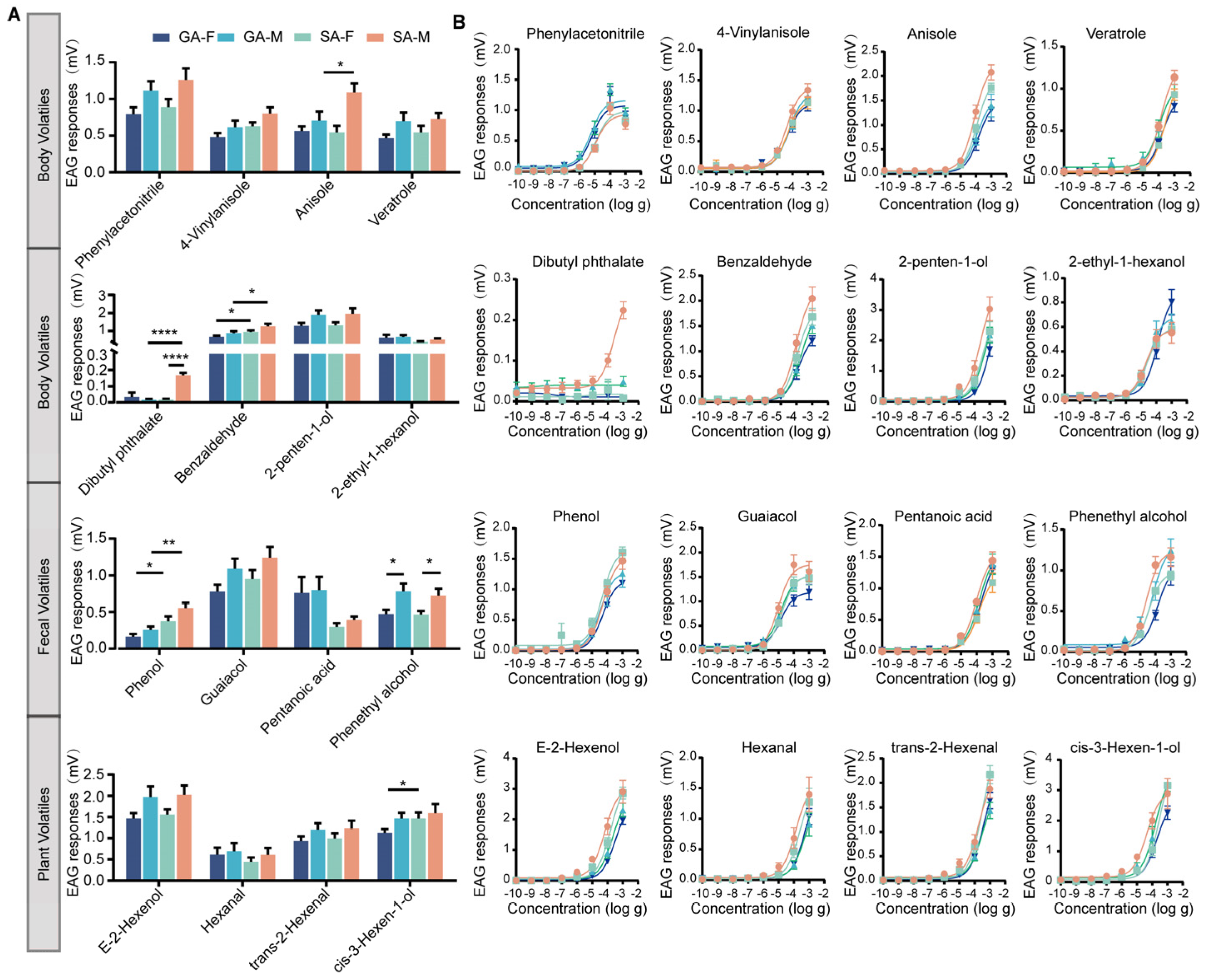 Olfactory Susceptive Difference in Gregarious and Solitary Locusts