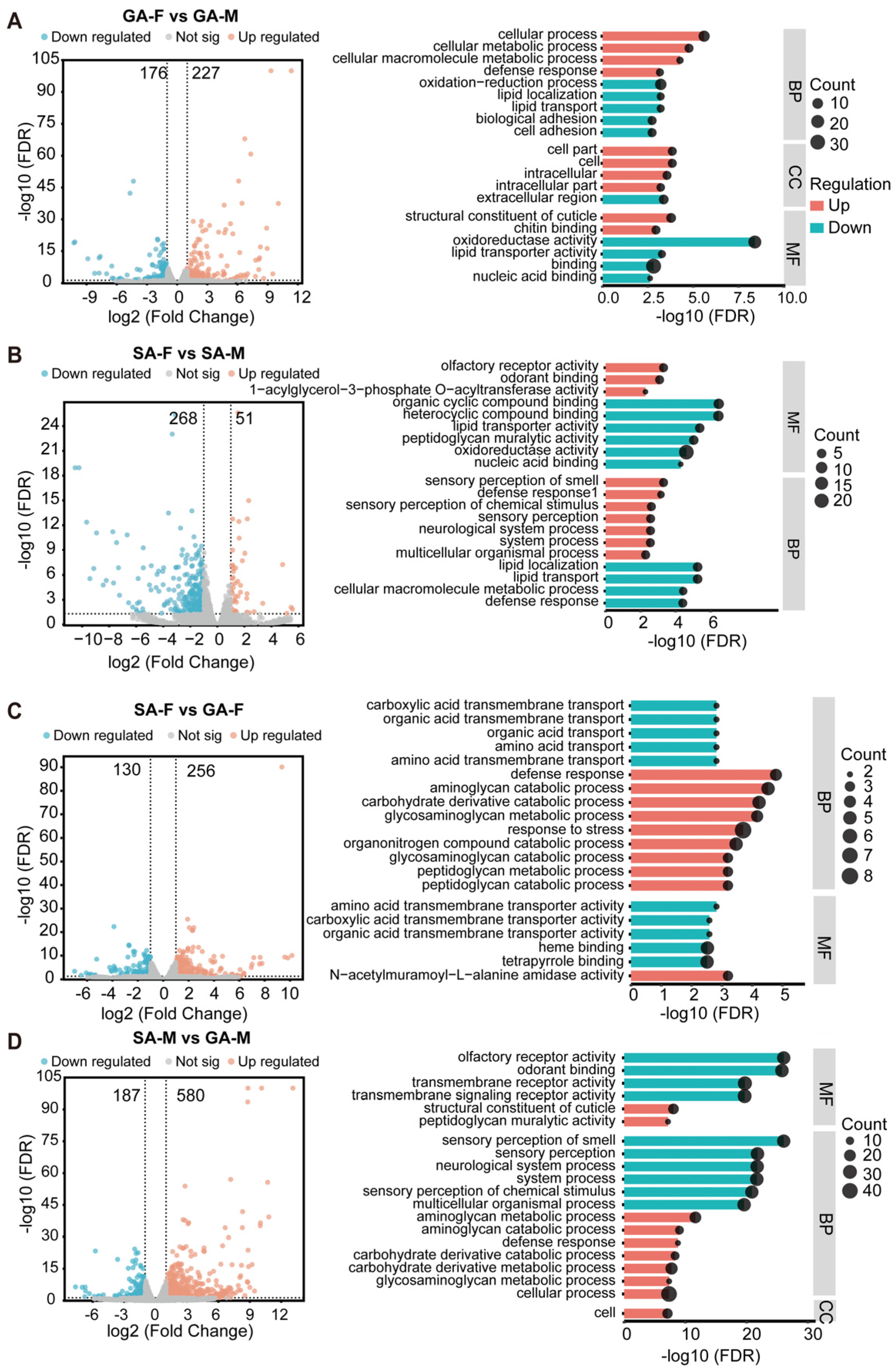 Olfactory Susceptive Difference in Gregarious and Solitary Locusts