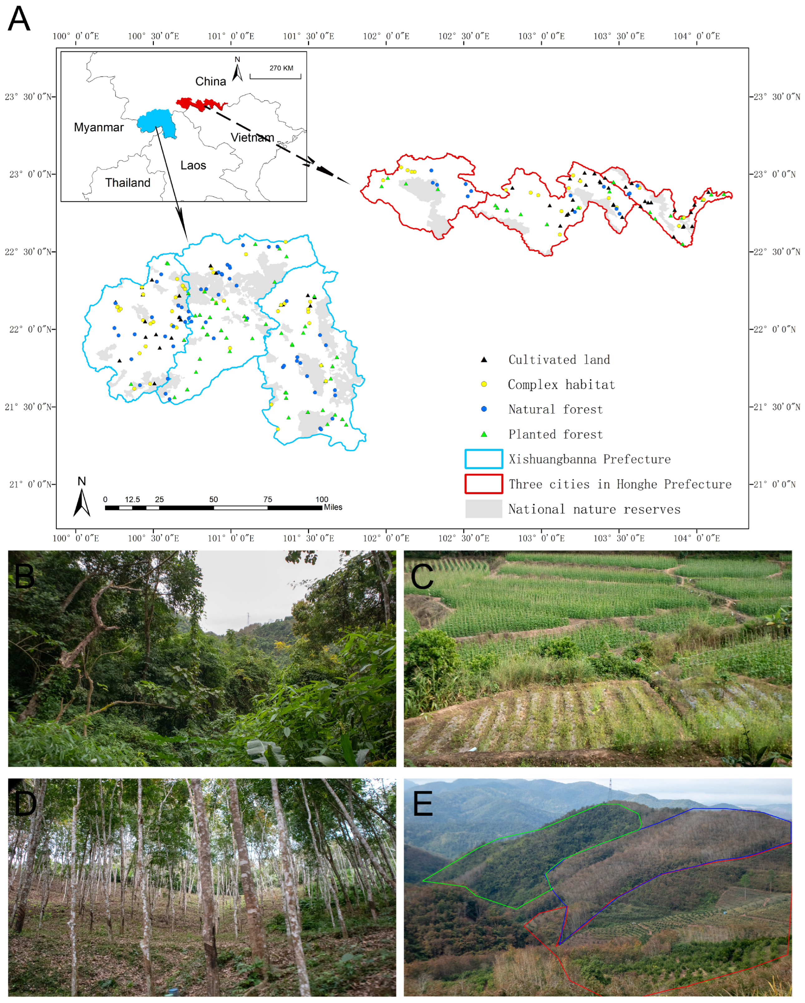 The Joint Effects of Habitat Types and Surrounding Landscape Patterns ...