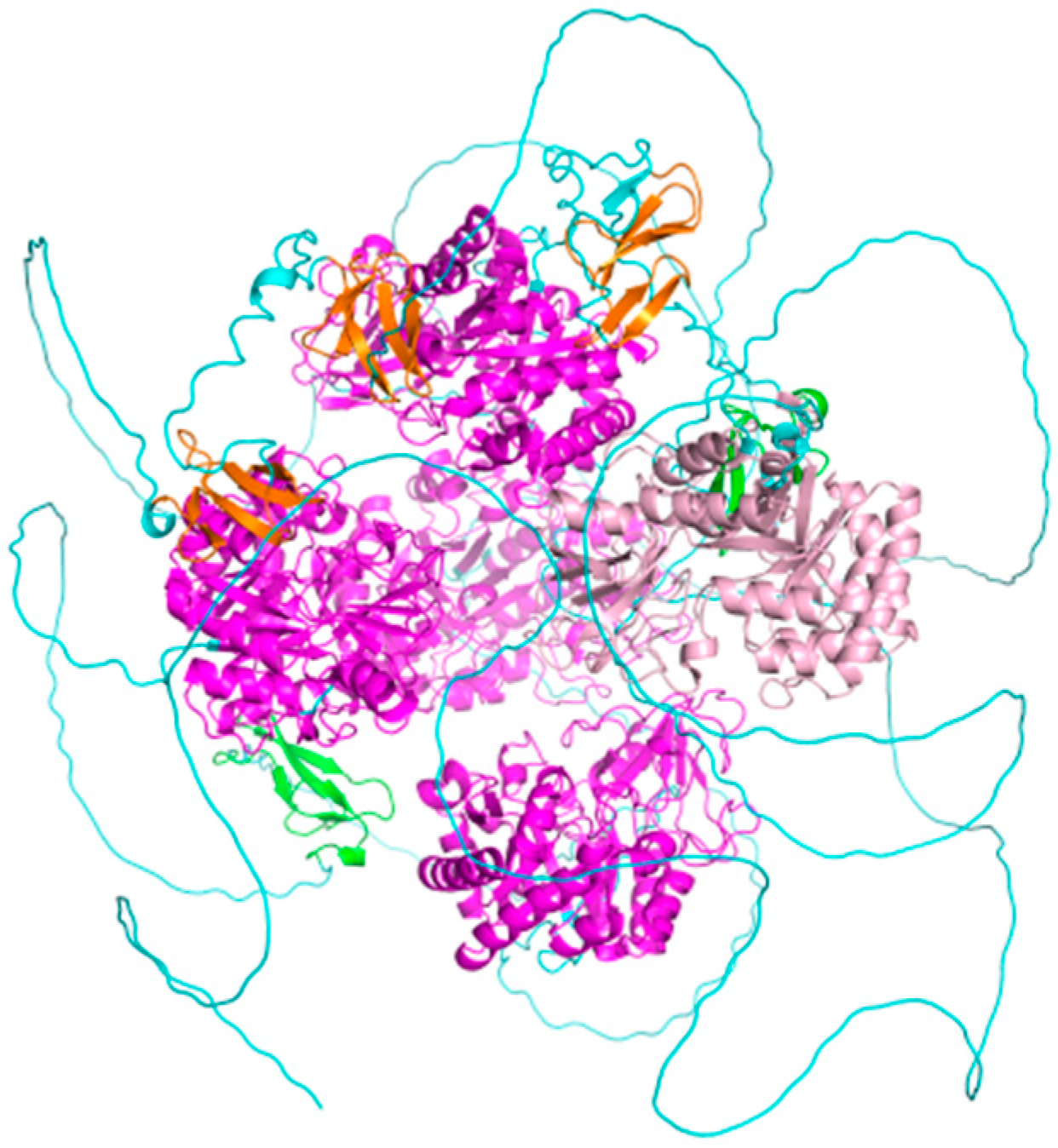 RNA Interference Targeting MaCht-2 Induces Severe Molting Defects and ...