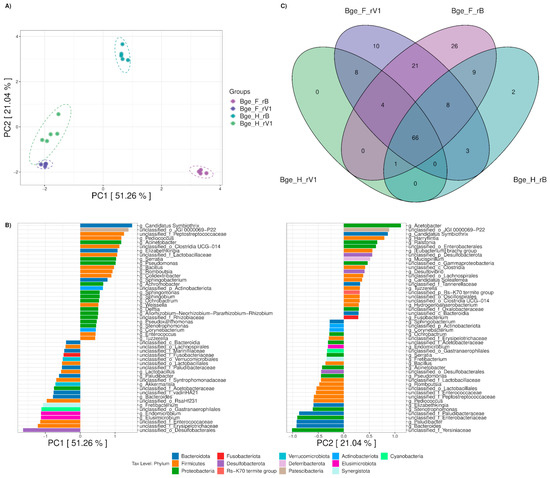 Insects | An Open Access Journal from MDPI