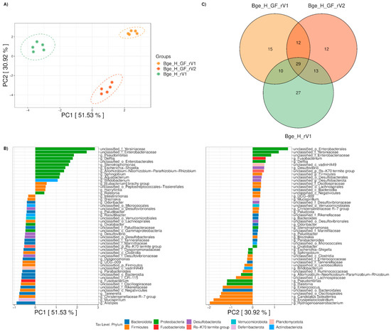 Insects | An Open Access Journal from MDPI