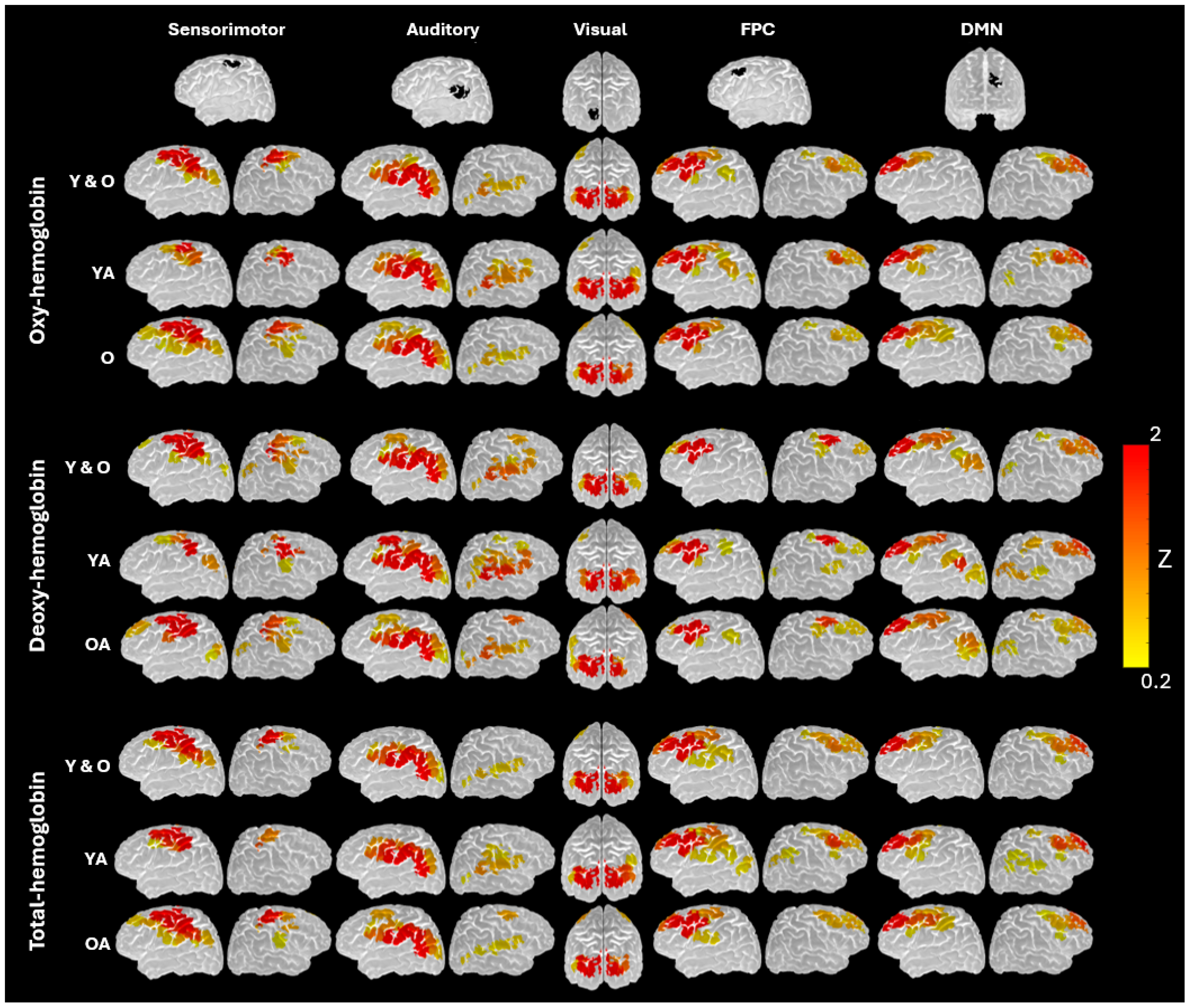 Graph Analysis of Age-Related Changes in Resting-State Functional ...