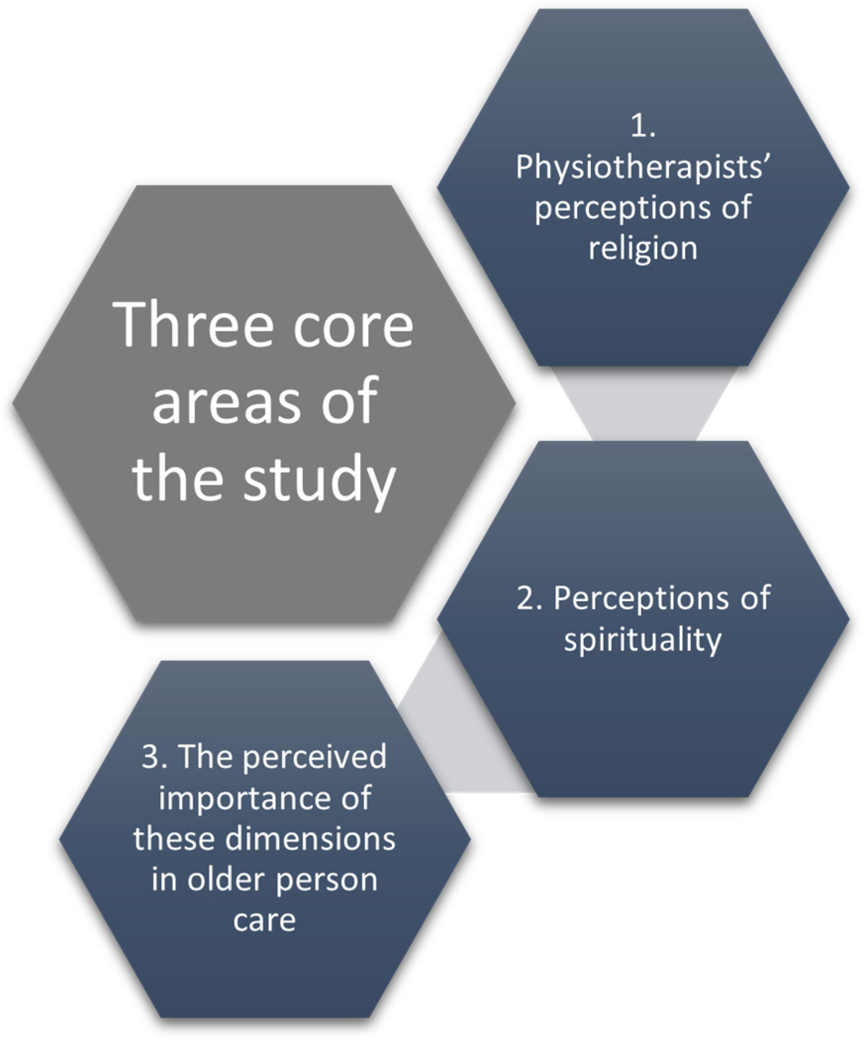 The Overlooked Dimension: Physiotherapists’ Perceptions of Spirituality ...