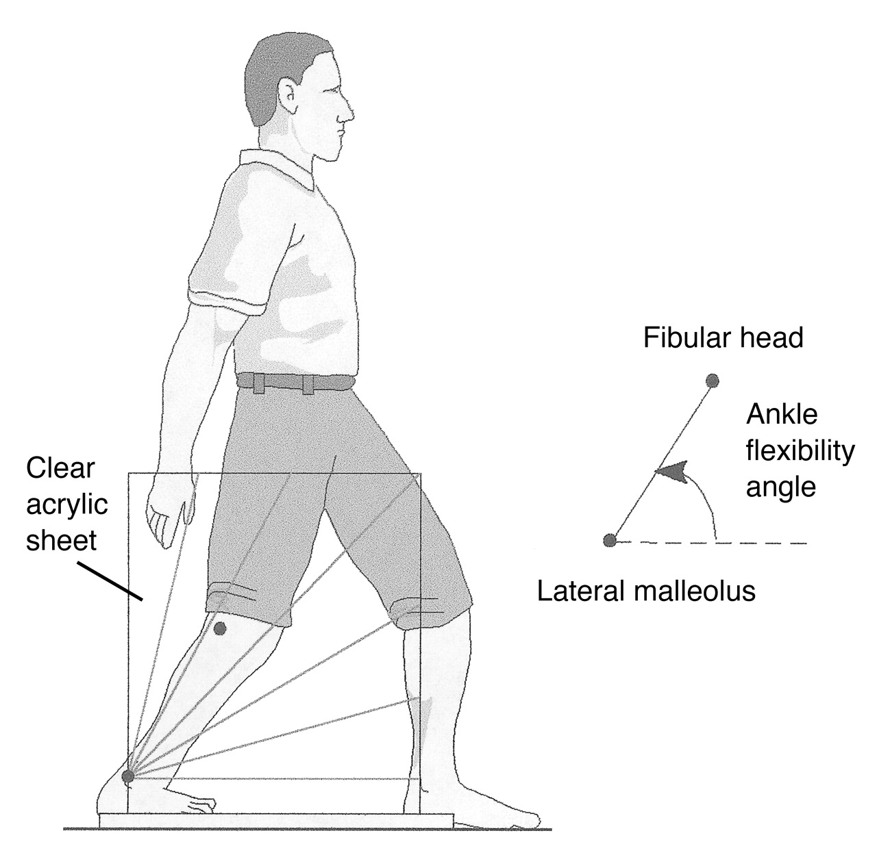 Reliability of Clinical Tests of Foot and Ankle Characteristics in ...