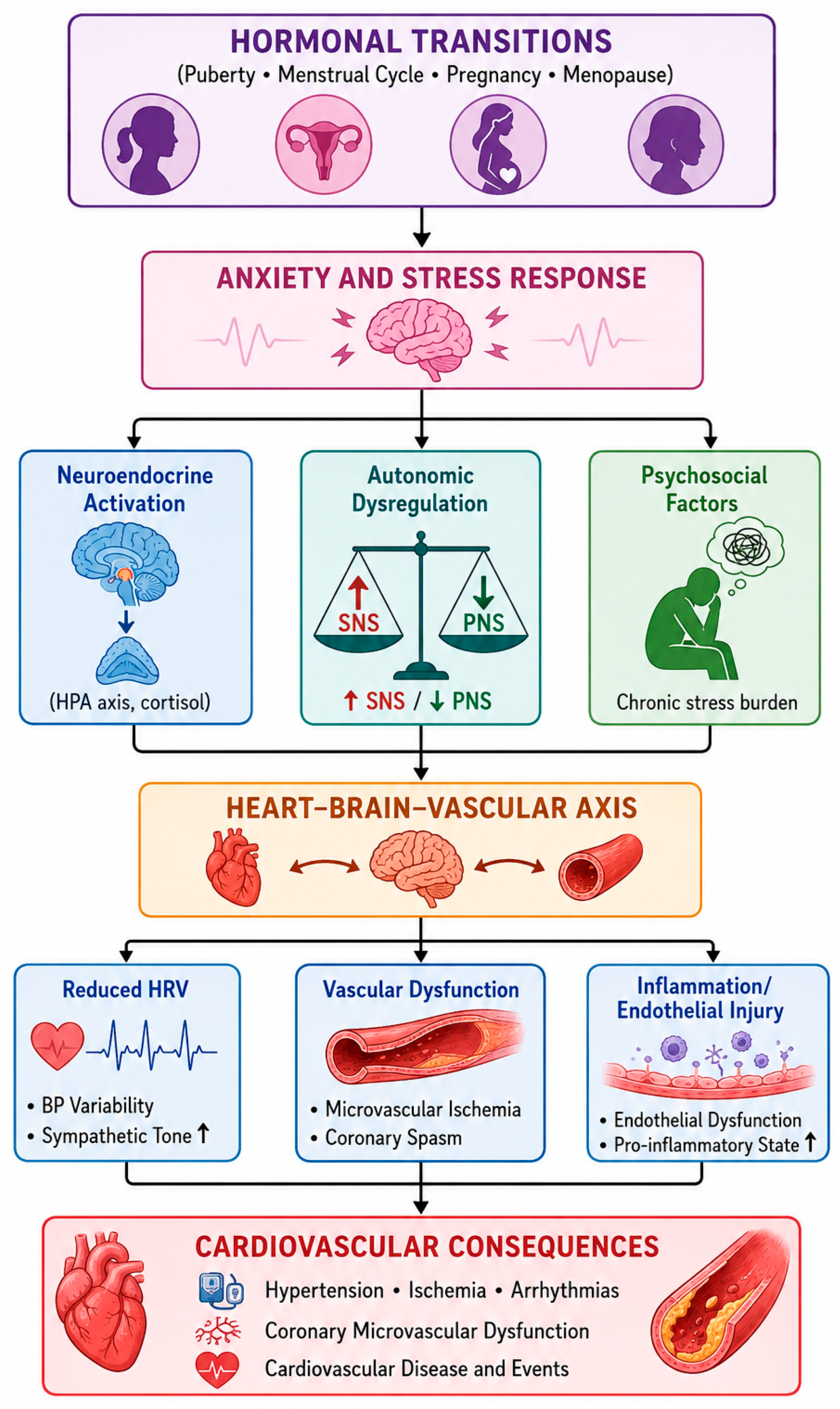 Anxiety and Depression in Women’s Cardiovascular Health: Risk Modifiers ...