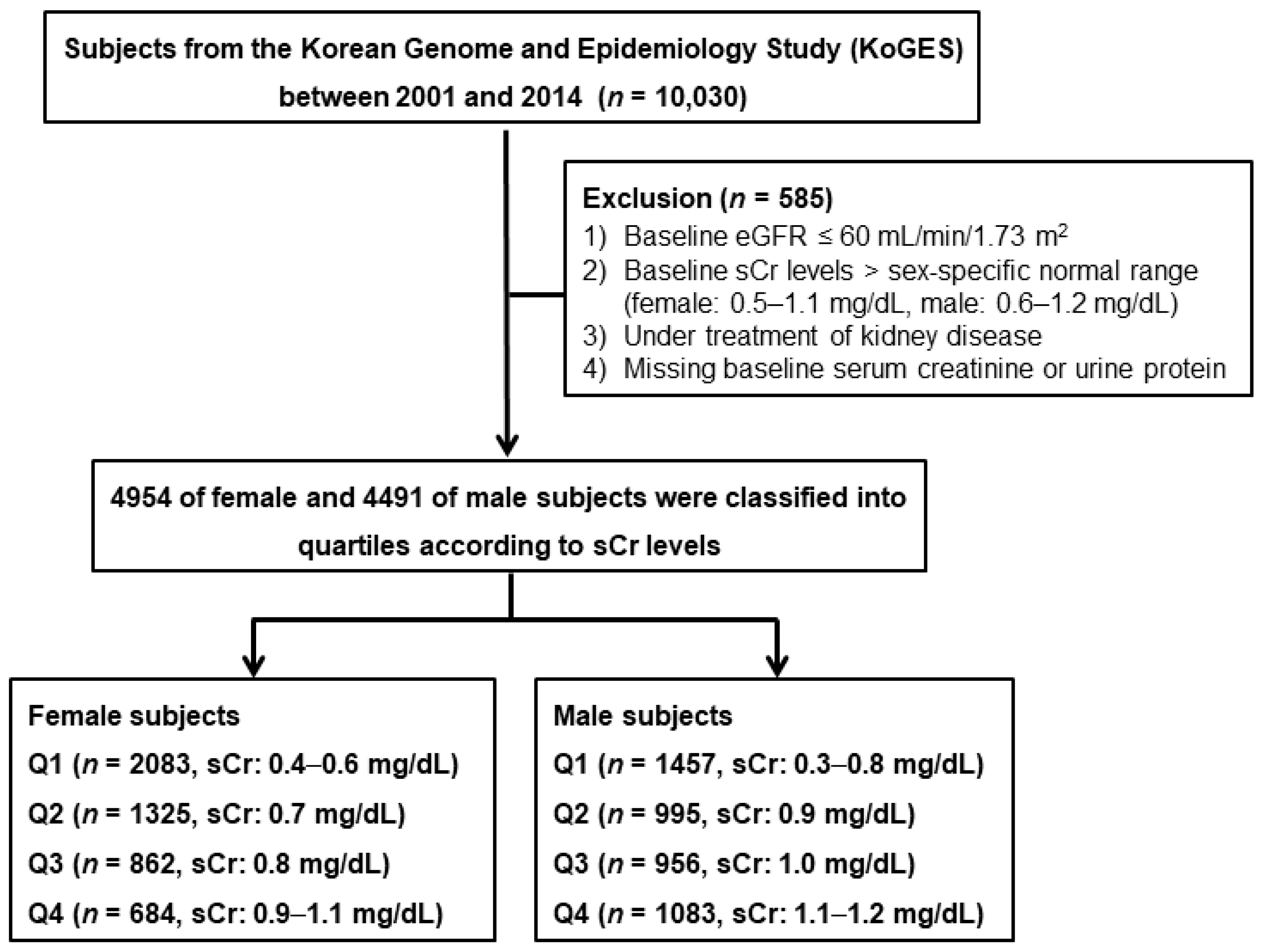 Normal Serum Creatinine Homecare24 Normal Serum Creatinine Homecare24