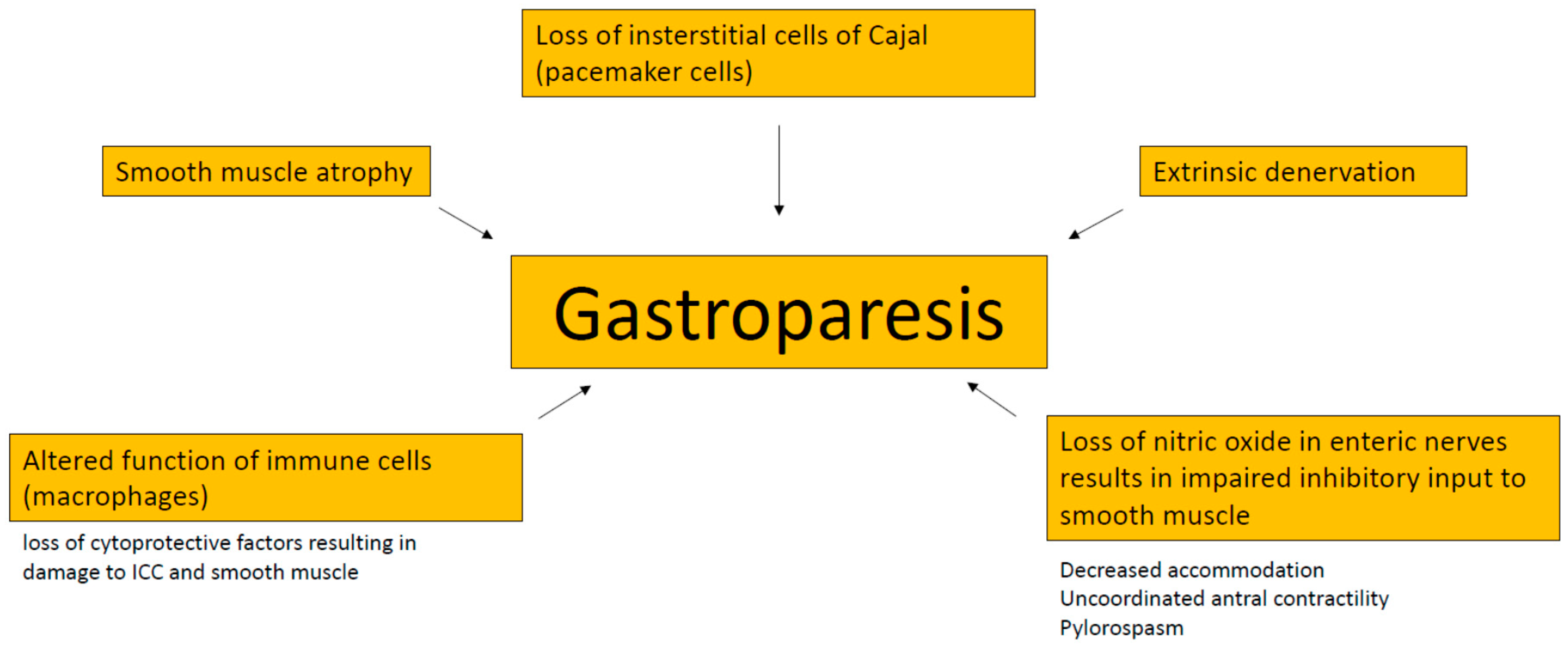 Gastroparesis And Dumping Syndrome Current Concepts And Management Gastroparesis And Dumping Syndrome Current Concepts And Management