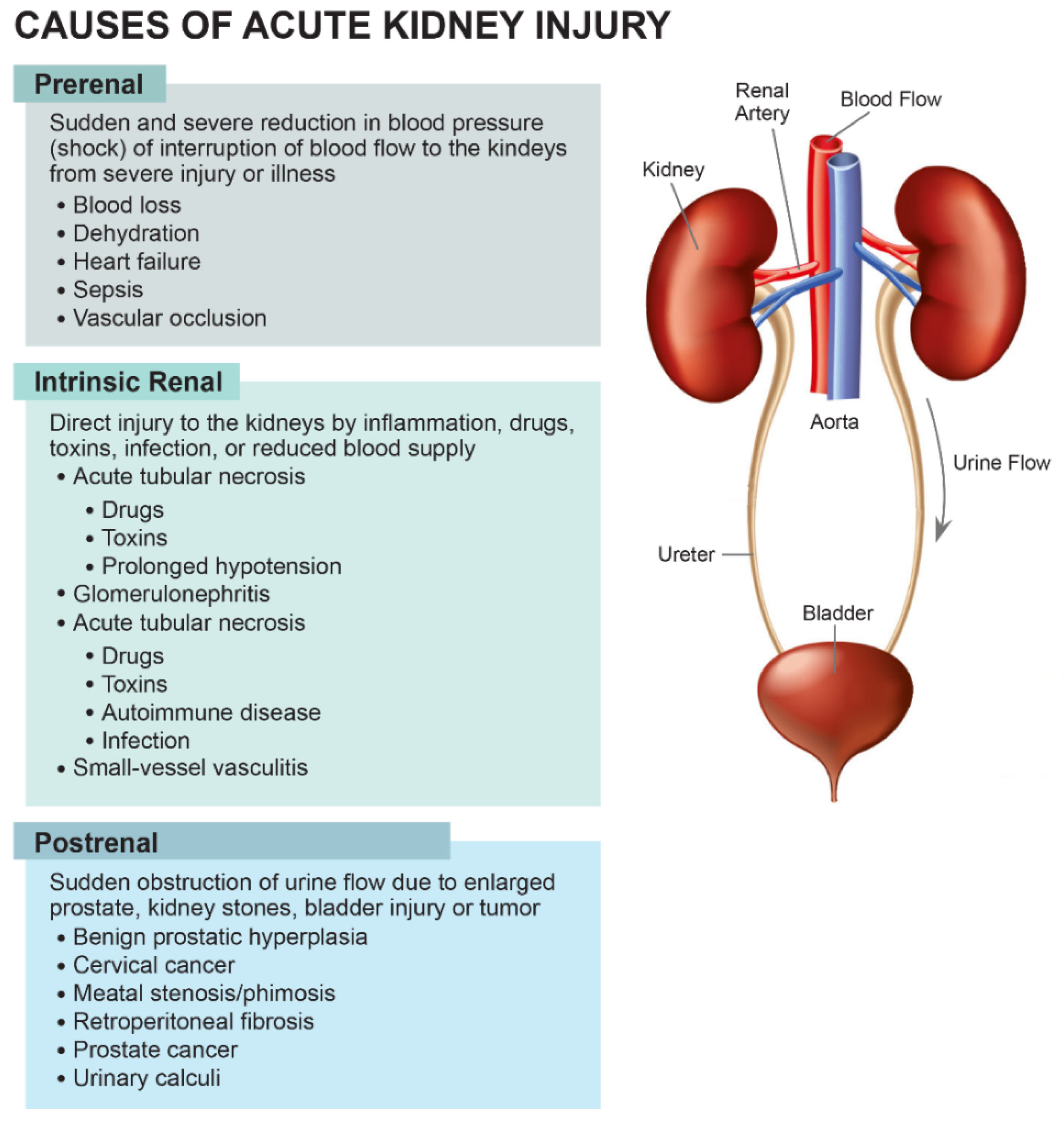 JCM Free Full Text Diagnostics Risk Factors Treatment And JCM Free Full Text Diagnostics Risk Factors Treatment And