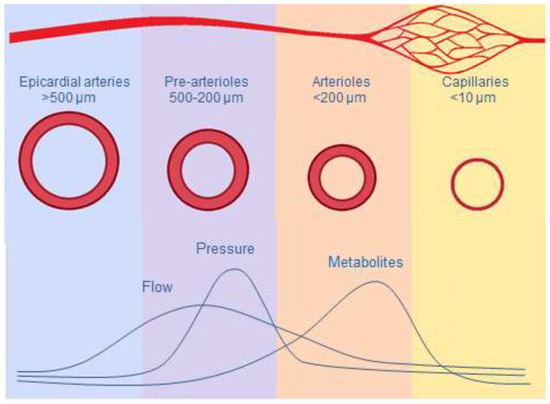 Coronary Microvascular Dysfunction