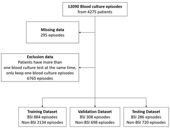 An Artificial Intelligence Approach to Bloodstream Infections Prediction