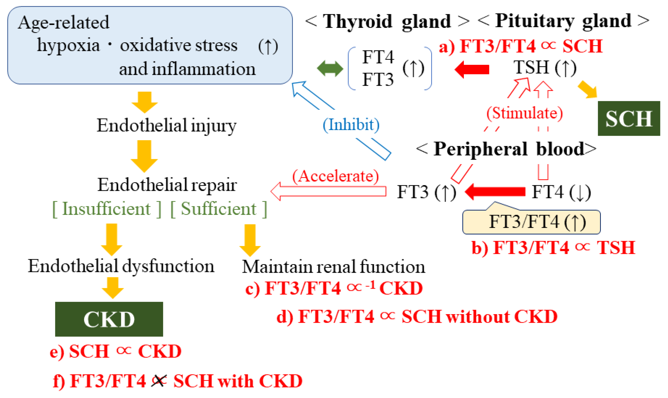 JCM Free Full Text Associations Among Ratio Of Free JCM Free Full Text Associations Among Ratio Of Free