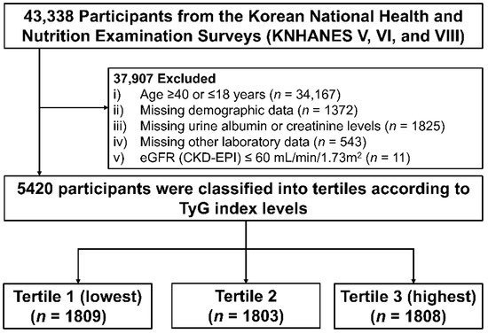High Triglyceride-Glucose Index with Renal Hyperfiltration and Albuminuria in Young Adults: The ...