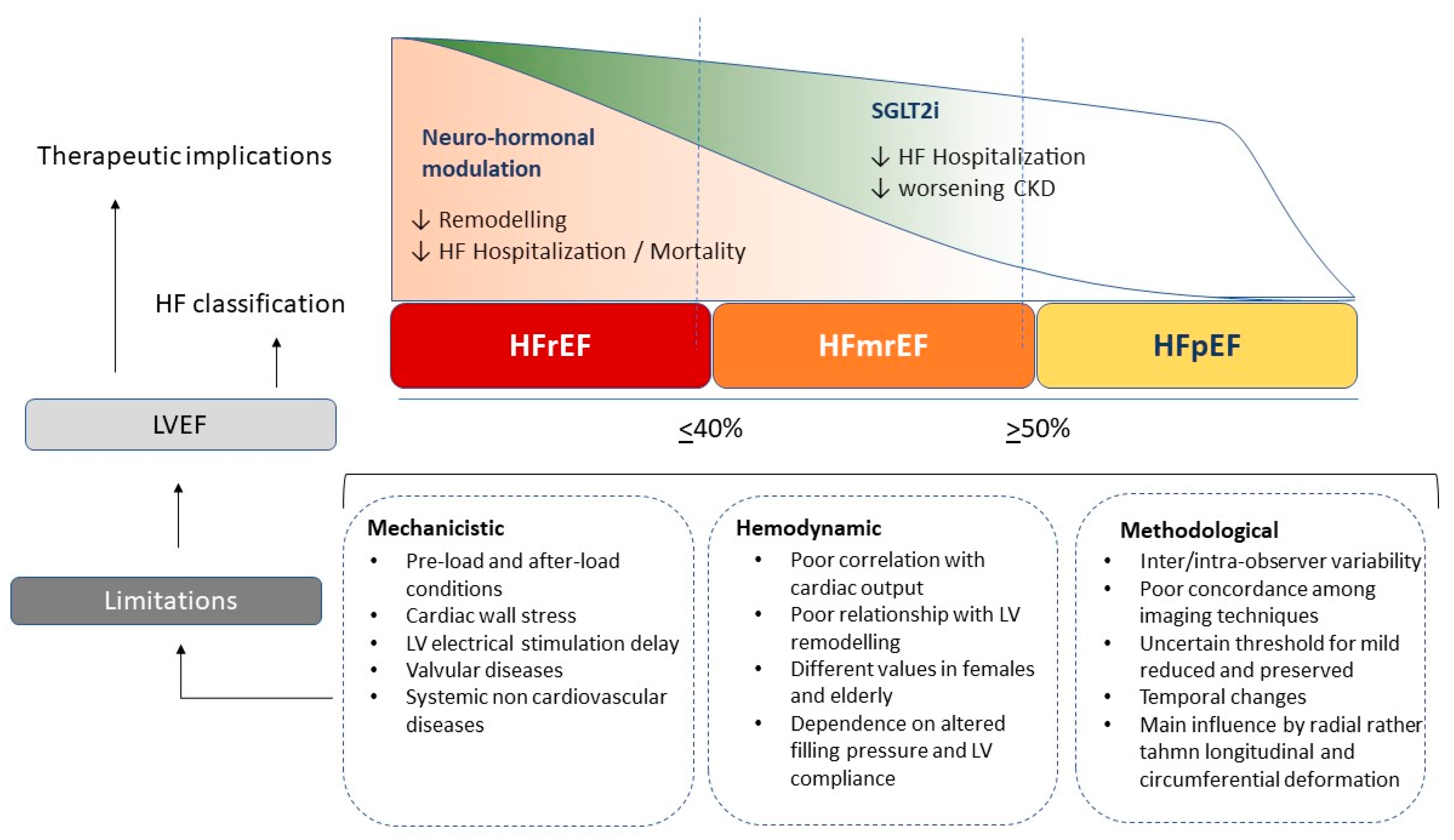 JCM Free Full Text Does The Measurement Of Ejection Fraction Still JCM Free Full Text Does The Measurement Of Ejection Fraction Still