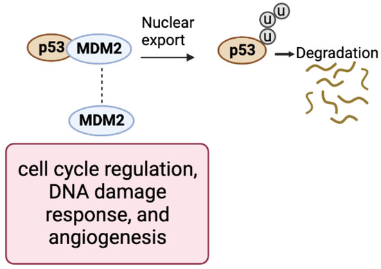 MDM2 Implications for Potential Molecular Pathogenic Therapies of Soft ...