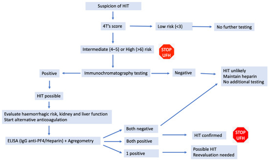 Anticoagulation Management in V-V ECMO Patients: A Multidisciplinary ...