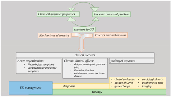 Carbon Monoxide Poisoning: From Occupational Health to Emergency Medicine