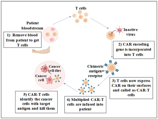 CAR-T-Cell-Based Cancer Immunotherapies: Potentials, Limitations, and ...