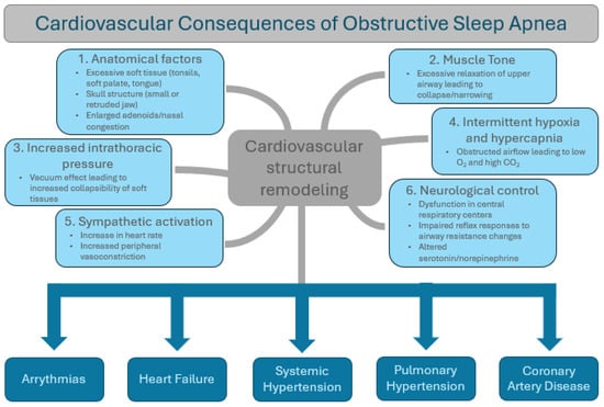 The Effects of Obstructive Sleep Apnea on the Cardiovascular System: A ...