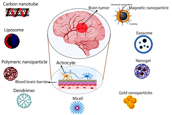 Nanoparticle-Based Approaches in the Diagnosis and Treatment of Brain ...