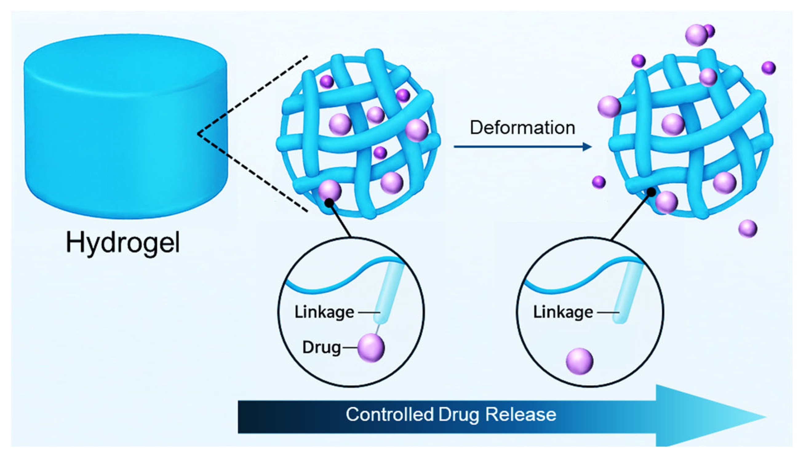 Hydrogel Drug Delivery Systems and Liposomal Bupivacaine: Innovations ...