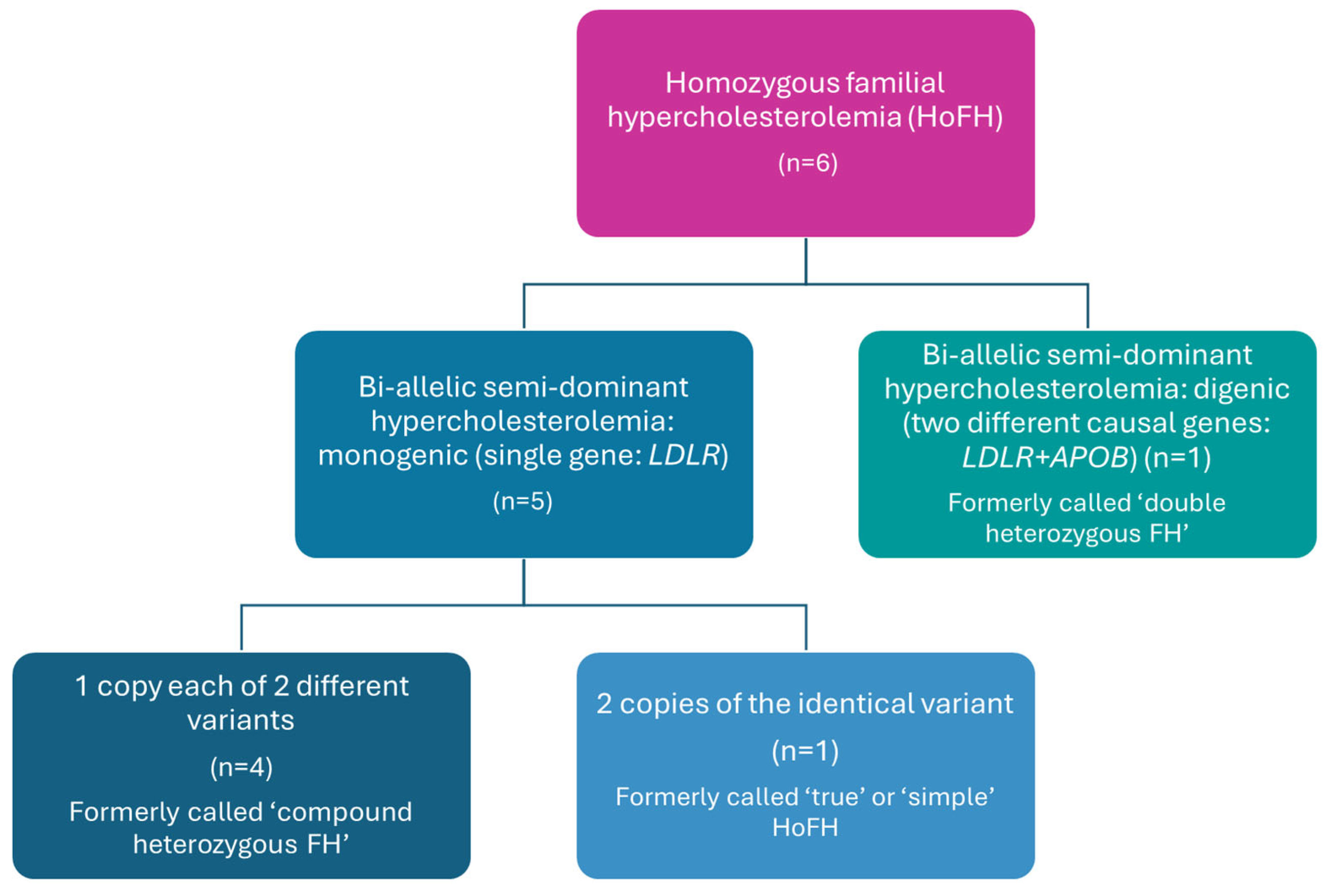 Diagnostic and Therapeutic Challenges of Homozygous and Severe ...