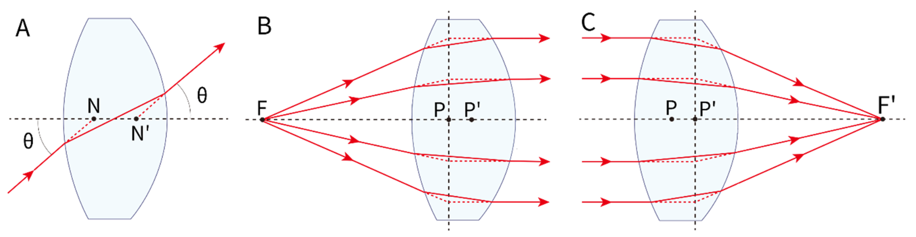 Basic Optics Underlying Current Intraocular Lenses