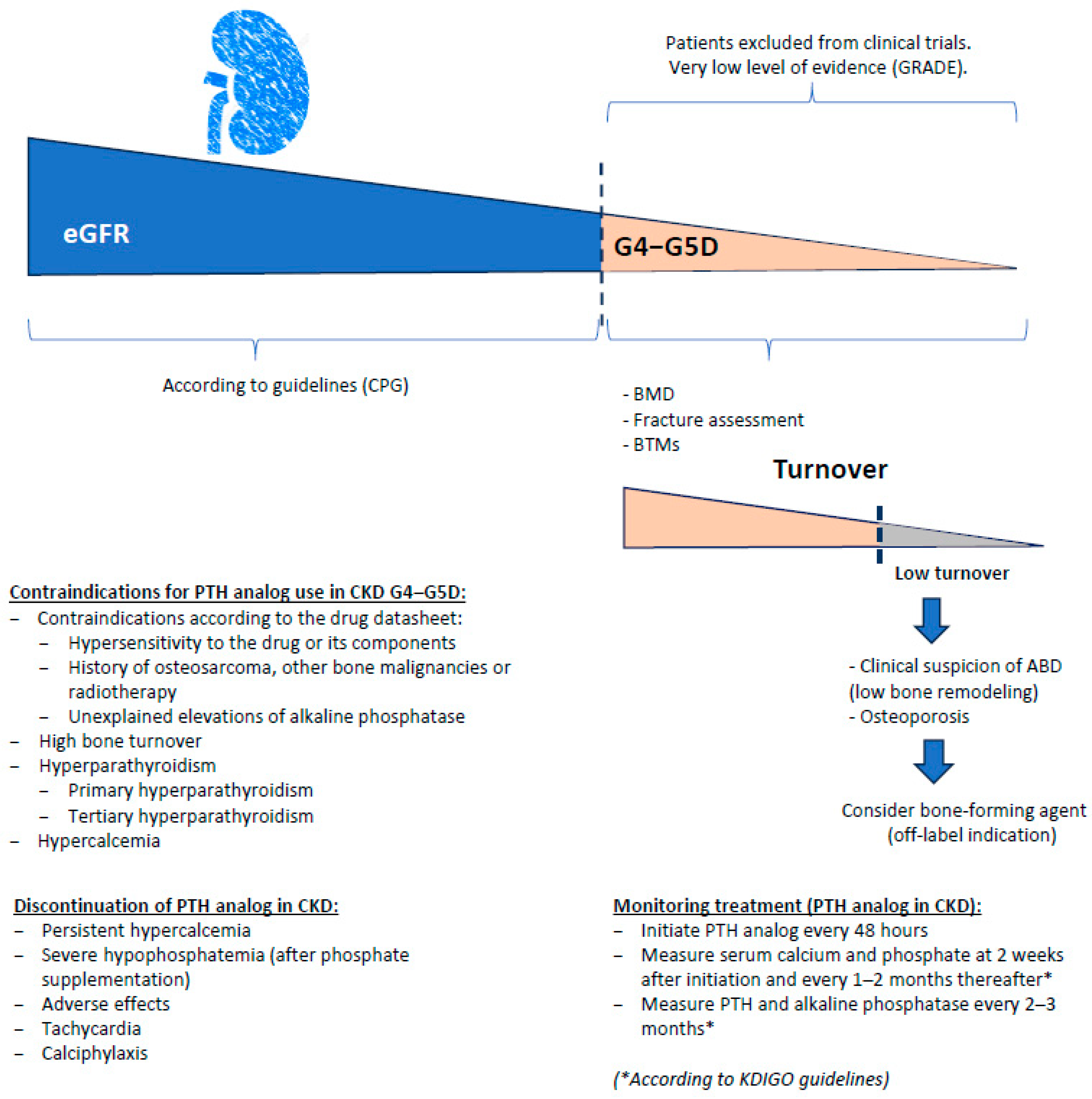 PTH Analog Therapy in CKD G4–G5D: Current Evidence and Potential Role ...