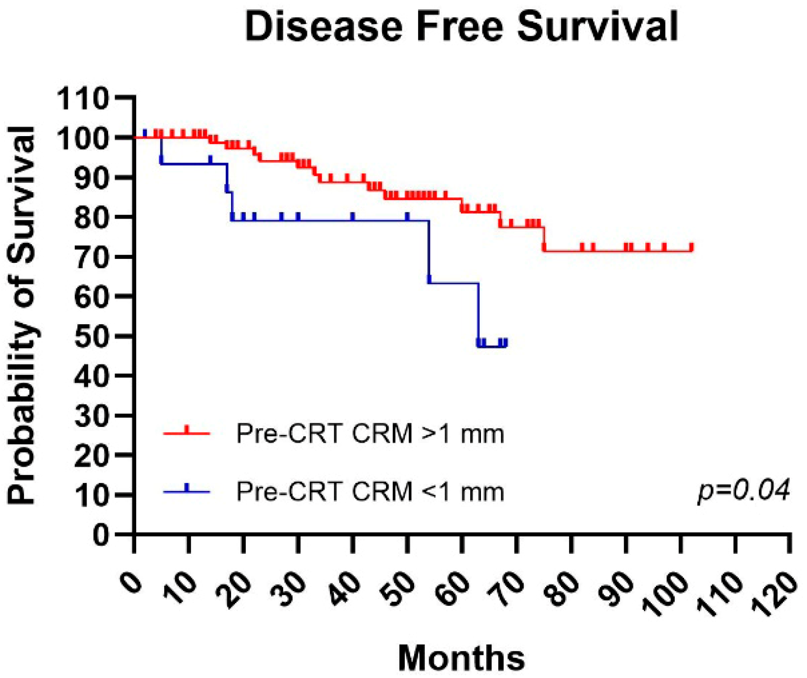 MRI-Based Morphological Features as Predictors of Clinical Outcomes in ...