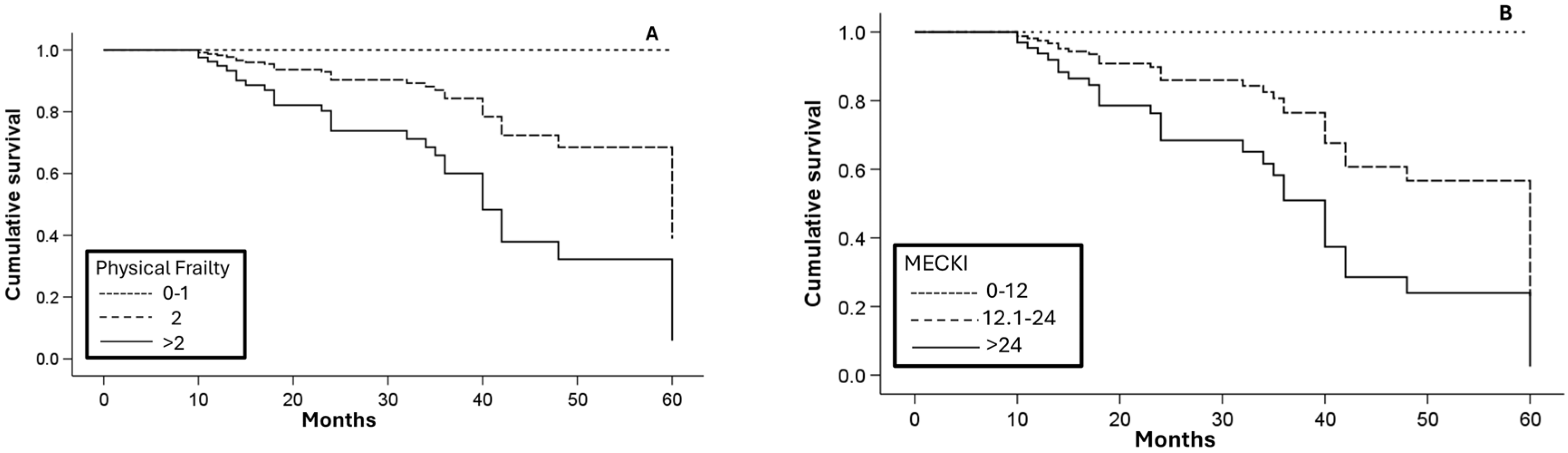 Physical Frailty Versus the MECKI Score in Risk Stratification of ...