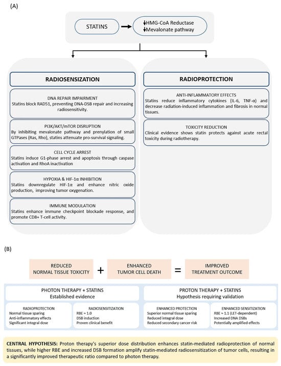Combining Statins with Radiotherapy for Prostate Cancer: From Photon ...