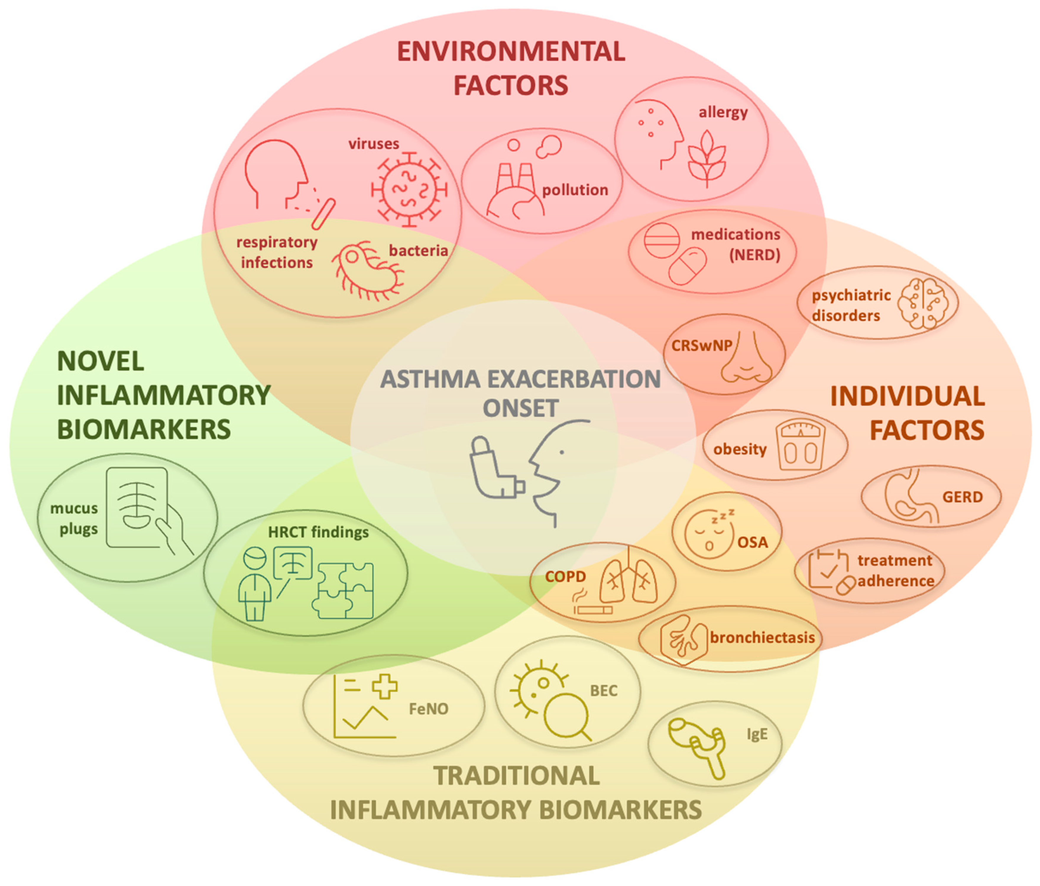 Severe Asthma Exacerbations: From Risk Factors to Precision Management ...